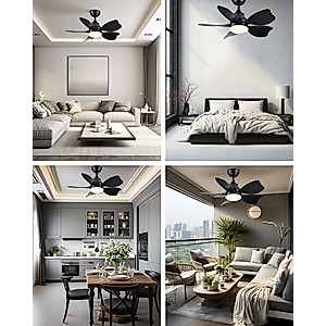 Newday 30" Ceiling Fan with Light and Remote, Small Ceiling Fans with Lights, 5 Reversible Blades 3 Colors Dimmable 6 Speed Ceiling Fan for Bedroom Kitchen Dining Room, Black Ceiling Fan with Light