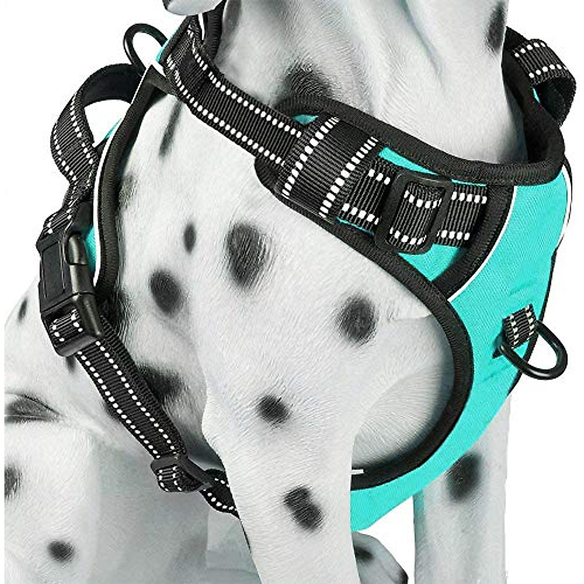 PoyPet No Pull Dog Harness, Reflective Comfortable Vest Harness with Front & Back 2 Leash Attachments and Easy Control Handle Adjustable Soft Padded Pet Vest for Small to Large Dogs (Mint Blue,M)
