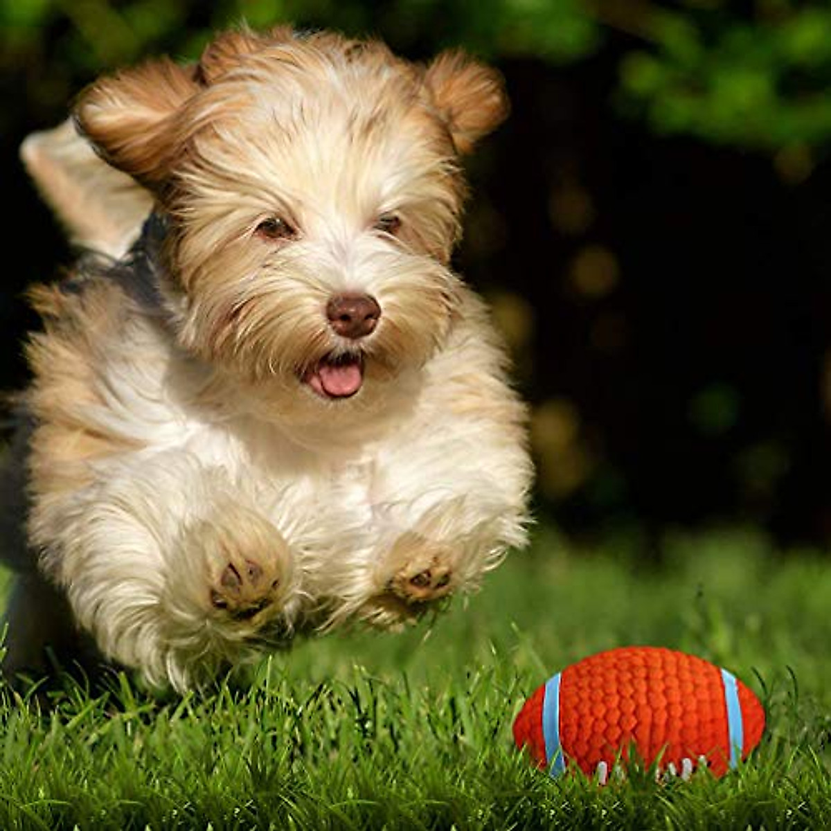 balacoo 2pcs Soccer chew Toy Squeaker Soccer Dog Toy Dog chew pet chew Toy Outside Toys Dog Toys Squeaky Training pet Rugby Toy Squeaky Dog Outdoor dogman Toys Pet Toy Spherical Tennis