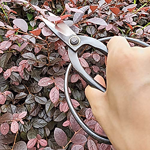 gonicc Professional 7.3" Bonsai Scissors(GPPS-1012), For Arranging Flowers, Trimming Plants, For Grow Room or Gardening, Bonsai Tools. Garden Scissors Loppers.