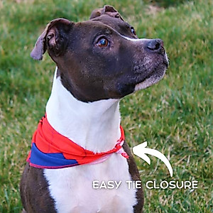 Marvel Spiderman Officially Licensed 2 Pack Pet Bandanas - I Am Spiderman & Spidey Logo Dog & Cat Bandana Set - Super Hero Costume Scarf Fits Dogs, Cats & Puppies Size Large & X-Large (Collar 32"X14")