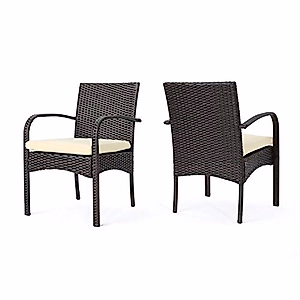 Christopher Knight Home Cordoba Outdoor PE Wicker Dining Chairs, 2-Pcs Set, Multibrown