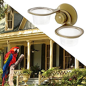 Amphibian Reptile Food Bowl Pets Suction Cup Worm Terrarium Water Dish Mealworms Bowls Feeders for Bearded Gecko