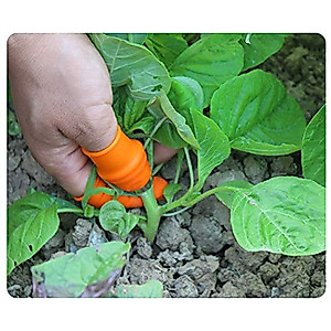 Fruit and Vegetable Picking Potted Plants Trim Silicone Thumb Knife Set Picking Portable Knife Garden Tools (1)