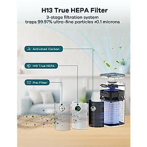 WELOV P200 PRO Air Purifiers with Pet Care Filter Bundle: Up to 1570 Ft² in 1 Hr With Air Quality Monitor, Smart WiFi, Alexa Control