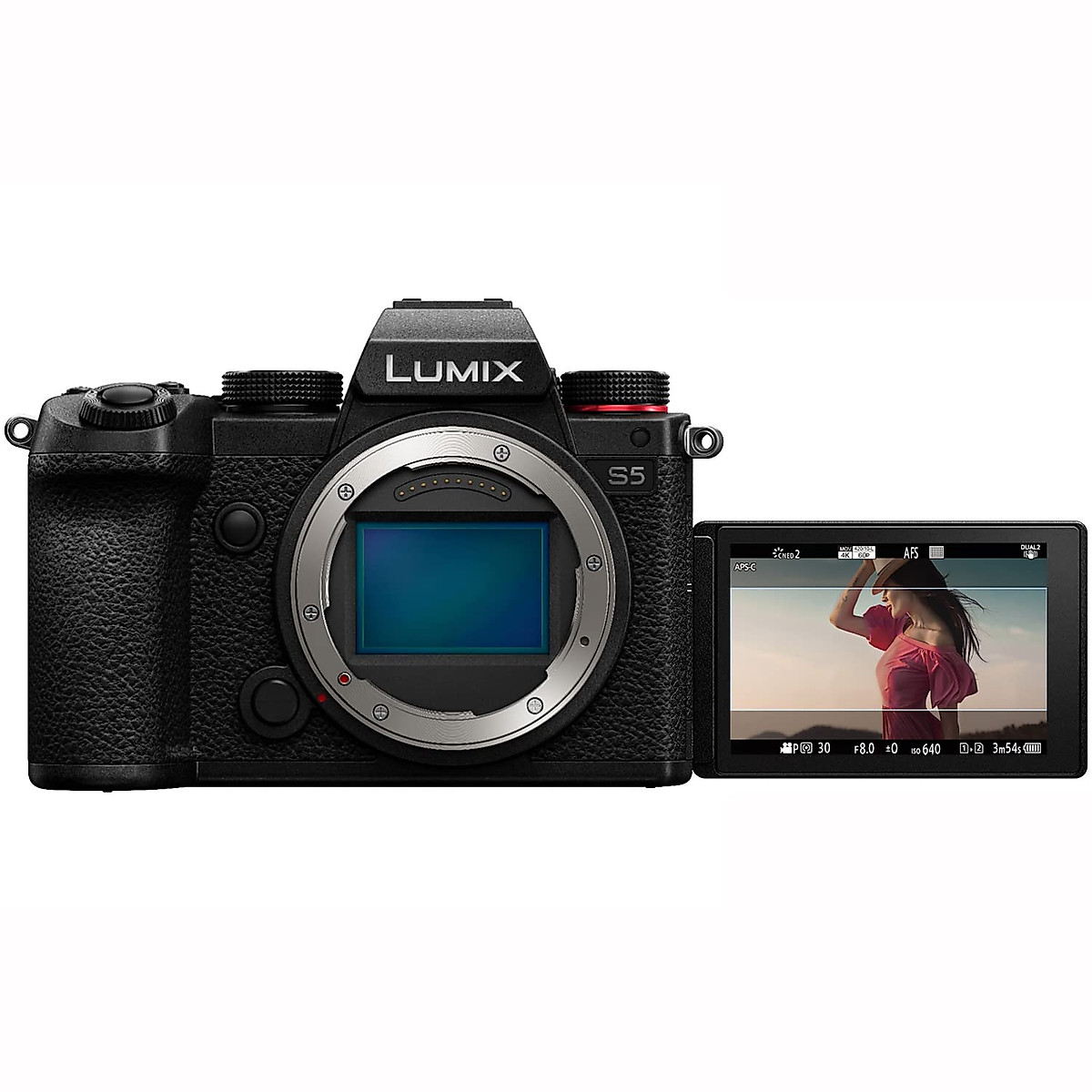 Panasonic LUMIX S5 4K Mirrorless Full Frame Interchangeable L-Mount Lens Camera Body DC-S5BODY Bundle with Deco Gear Microphone + LED + Photography Bag + Software Kit & Accessories