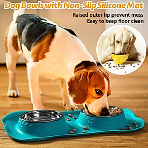 Hubulk Pet Dog Bowls 2 Stainless Steel Dog Bowl with No Spill Non-Skid Silicone Mat + Pet Food Scoop Water and Food Feeder Bowls for Feeding Small Medium Large Dogs Cats Puppies (Small, Green)