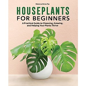 Houseplants for Beginners: A Practical Guide to Choosing, Growing, and Helping Your Plants Thrive