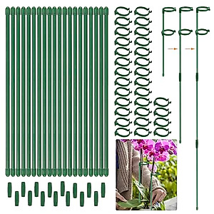 30 Pack Plant Stakes 12 Inch, Adjustable Length Plant Support Stakes for 3 Sizes (12, 24 or 36 Inches), Green Plant Sticks Fiberglass Single Stemmed Flower Support for Potted Indoor Plants