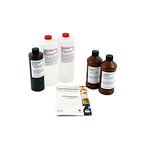 ALDON Innovating Science Gram's Stain Kit - Large