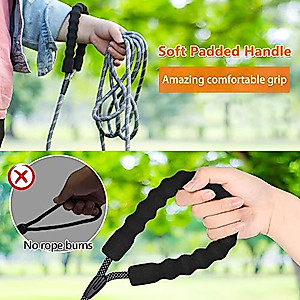 NTR 15FT Training Leash for Dogs, Nylon Rope Dog Leash with Swivel Lockable Hook and Comfortable Padded Handle, Cat Puppy Leash Lead for Small Medium Large Dogs Training, Playing, Camping, or Backyard