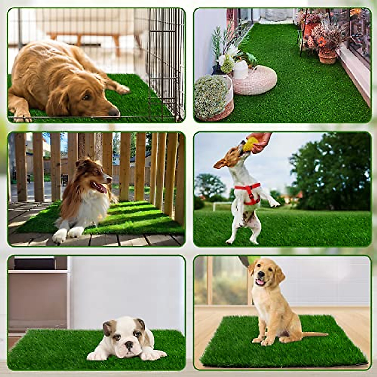 Grass Pad for Dogs Strong Absorbency Soft and Real Grass for Pets Potty Training, Easy to Clean Fake Grass for Dog Indoor Outdoor Use(39.3 x 31.5 inches,1 Pack)