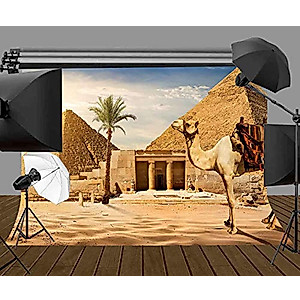 LYLYCTY 7x5ft Pyramid Backdrop Ancient Civilization Country Egypt Pyramid Camel Photography Backdrop Photo Photography Background Props Studio Indoor Decorations LY102