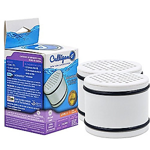Culligan WHR-140 Replacement Shower Filter Cartridge for WSH-C125, HSH-C135, ISH-100 Shower Units (2 Pack)