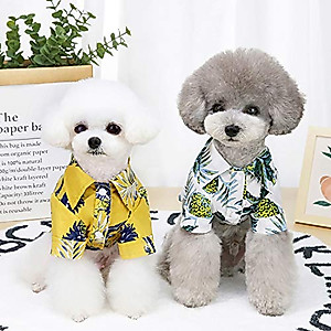 Izefia Dog Shirt Clothes Hawaii Casual Shirt Coconut Tree Shirts Cool Summer Seabeach Dog Shirt for Small Dog Puppy Cat (Hawaii-White, XXL)