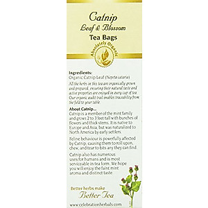 Celebration Herbals Teabags Herbal Catnip Leaf and Blossom Organic -- 24 Herbal Tea Bags