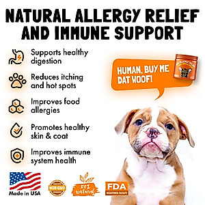 Allergy Relief Chews for Dogs & Immune & Digestive Supplement with Wild Salmon Oil Kelp Colostrum Turmeric Probiotics & Bee Pollen for Seasonal Allergies Anti Itch, Skin Hot Spots 120 Soft Treats