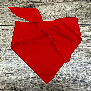 Stealing Hearts & Blasting Farts Dog Bandana (Red)