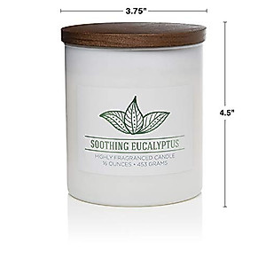 Colonial Candle Soothing Eucalyptus Scented Jar Candle, Wellness Collection, 2 Wick, 16 oz - Up to 120 Hours Burn