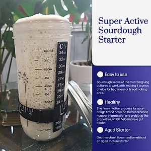 San Francisco Sourdough Starter - Dehydrated Heirloom Style Sourdough Starter for Sourdough Bread, Pizza, Buns, Pancakes, Muffins | Easy to follow instructions. By Captain Sourpants