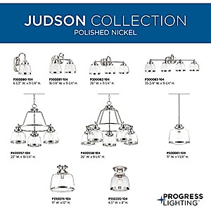 Progress Lighting P300080-104 Judson Bath & Vanity, Nickel