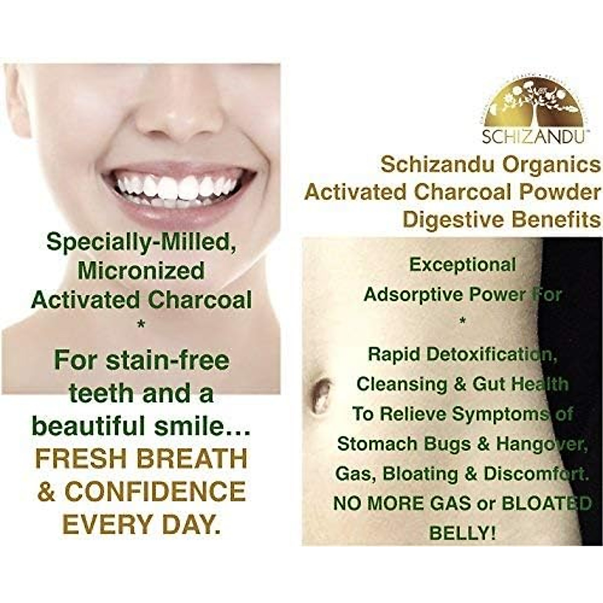 Activated Hardwood Charcoal Powder by Schizandu Vegan 100% | Supports Skin, Body, Teeth Whitening (Hardwood Charcoal Powder)