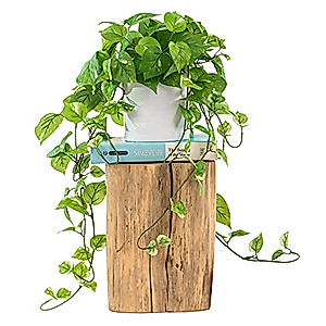 ROVALA Artificial Plants for Home Decor Indoor in Pot, Faux Plants Indoor Fake Plants for Living Room Decor Fake Plants for Bedroom Aesthetic - Pothos