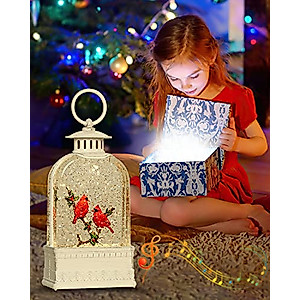 Christmas Cardinal Snow Globes,Musical Lighted with 6H Timer Swirling Glitter, Christmas Decoration Snow Globe Lantern, Red Bird Cardinal Gifts Christmas Decoration Indoor for Home
