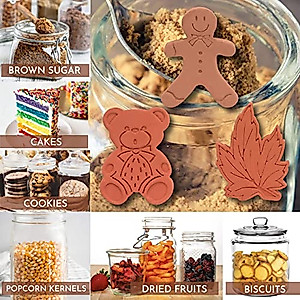 Brown Sugar Bear Brown Sugar Keeper Softener Canister and Containers Moisture Absorbers Bundle