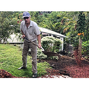 100% Kona Coffee – Whole Bean, Medium roast, Single estate gourmet coffee, 16 ounces, Farm fresh roasted from Domain Kona Coffee