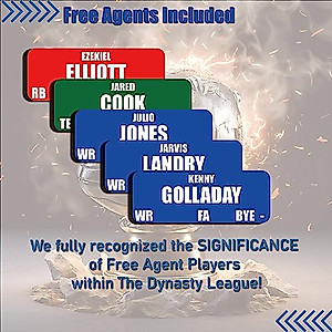 Fantasy Football Draft Board 2023-2024 Kit - Large Set with 576 Player Labels - Premium Color Edition[14 Teams 20 Rounds]