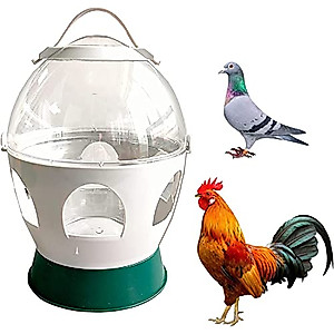Bird Feeding Pigeons Feeder Water 2L Plastic Pet Drinker Dispenser Pot Container Birds - Automatic Feeders Water Dispenser