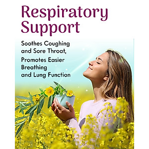 Adanim Bio Eucalyptus Thyme & Mullein Leaf Tea Bags - Organic Gourmet De-Congest Lung Health Respiratory Support Herbal Teas Blend (Pack of 4) Best Breathe Deep