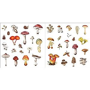 Bunches of Botanicals Sticker Book (Over 500 stickers!)