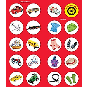 Super Duper Publications | Classifying Photo Fish- Transportation, Clothing, Animals, Food, and Around The Home Vocabulary Magnetic Game | Educational Materials for Children