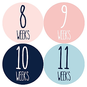 Months In Motion Weekly Pregnancy Growth Stickers | Week to Week Pregnant Expecting Photo Prop | Maternity Keepsake | Baby Bump | Weekly Stickers (Set of 36 Stickers)