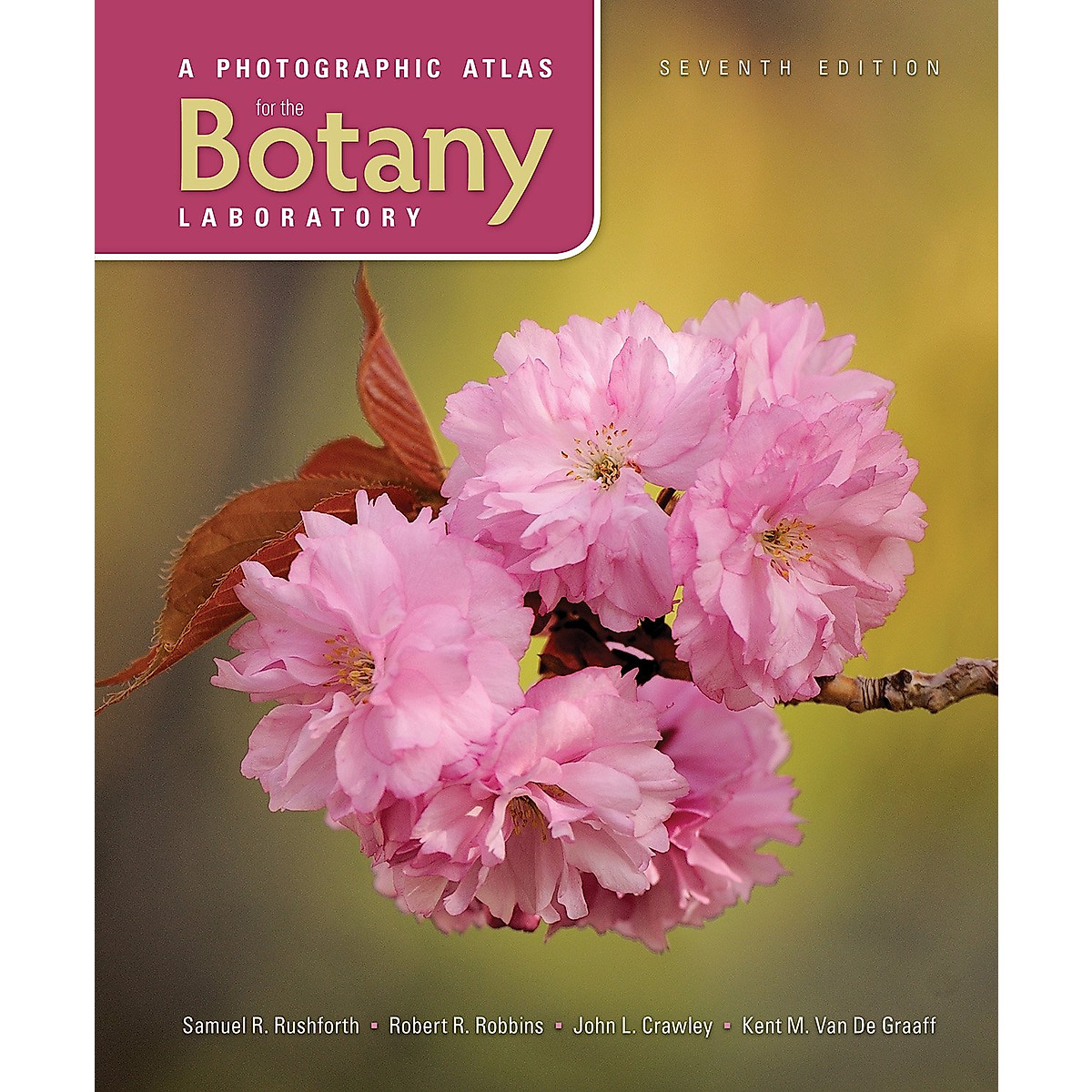 A Photographic Atlas for the Botany Laboratory
