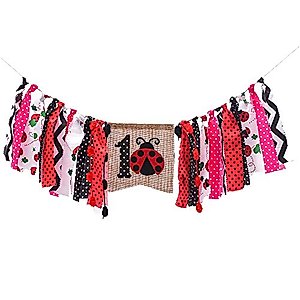 Ladybug Birthday Party Decorations Supplies Ladybug First Birthday High Chair Banner Garland Decoration First Birthday for Boy Girl 1st Birthday Decoration Cake Smash Photo Booth Backdrop Ladybug Party Supplies