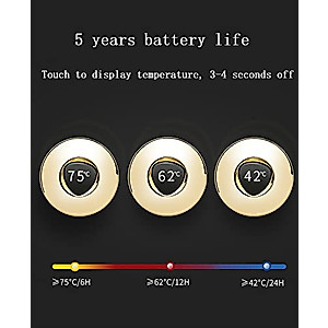 MMLLZEL Smart Thermos Bottle Temperature Display 316 Stainless Steel Vacuum Flask Waterproof Coffee Mug Keep Hot/Cold (Color : E, Size : 17x6.4cm)