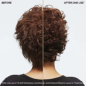 REDKEN All Soft Moisture Restore Leave-In Treatment | Hyaluronic Acid Primer| Treatment for Dry and Brittle Hair | Humidity, Heat and Frizz Protection | For Soft and Smooth Hair | 5.1 Fl Oz