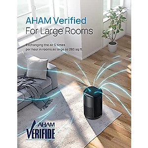 Dreo Air Purifiers for Bedroom Home Large Room, H13 True HEPA Filter for Allergies Pets, 283 ft² Coverage, 20dB Quiet Operation with 360° Filtration, Graphite, 9.84 * 9.84 * 15.2, (DR-HAP002DB)