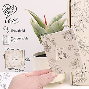 Get Well Soon Gifts for Women, Care Package Gift Feel Better Basket Warm After Surgery Recovery Encouragement Gift Thinking of You Box with Blanket Coffee Wine Tumbler for Women Friends Female