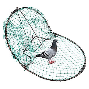 16" Pigeon Bird Trap,Humane Live Bird Traps for Small Birds Pigeons Sparrow Quail Hunting Cage Traps