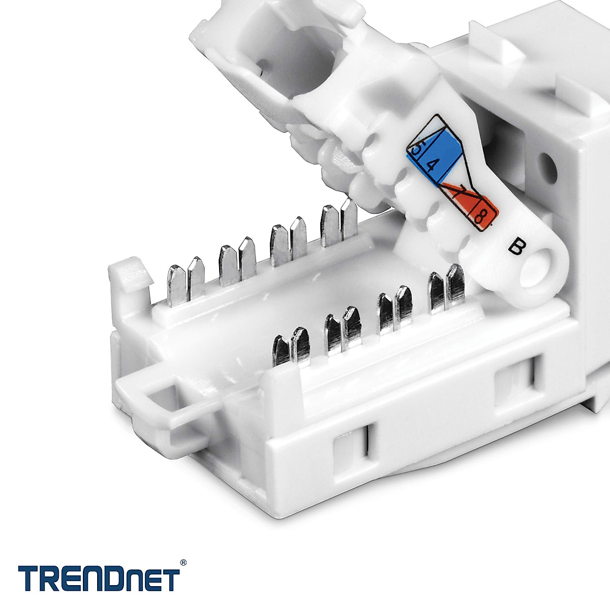 TRENDnet Cat6 RJ45 Keystone Jack 50-Pack Bundle, TC-K50C6, Compatible with Cat5/Cat5e/Cat6 Cabling, Use with The TC-KP24 or TC-KP48 Blank Keystone Patch Panels(Sold Separately) White