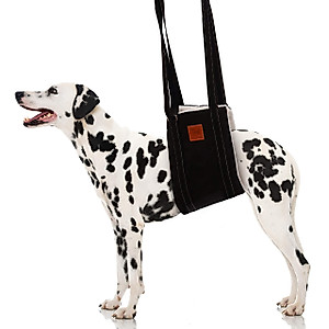 Pet Friendz Dog Lift Harness for Rear Legs - Dog Sling for Rear Legs, Rehabilitation Sling Harness, Dog Lift, Support Harness to Help Lift Dogs Rear for Canine Aid - Large Breed