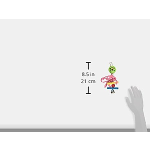 JW Pet Company HOL-ee Roller Pom Pom Bird Toy,Multi,One Size,31012