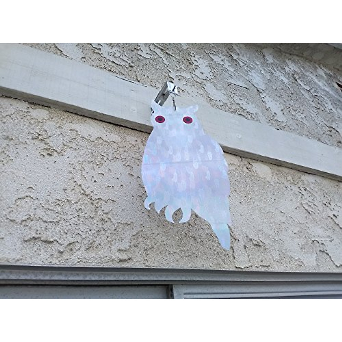 Holographic Owl Bird Deterrent- Scares Birds Away from Buildings, patios, Balconies and Gardens