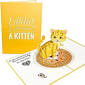 PopLife Funny Kitten Pop Up Card ($1 Donation to the Humane Society) - Cat Lover Card for All Occasions, Mother's Day, Father's Day, Veterinarian Gift - Happy Birthday, Just Because, Get Well