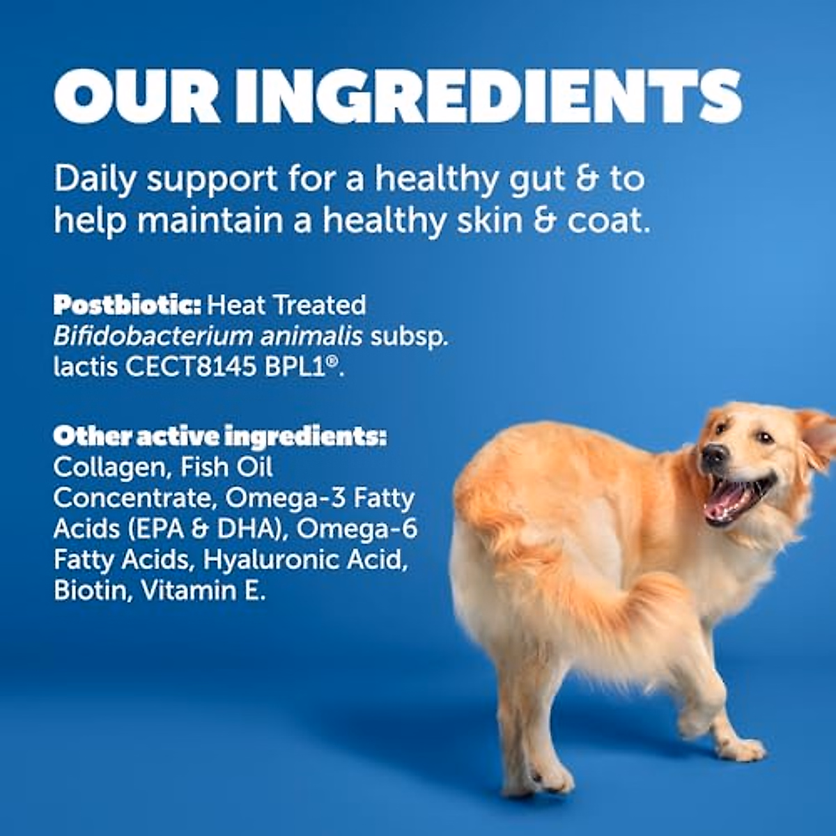 Protexin Daily Care Gut+ Skin & Coat, 60 postbiotic Dog Supplement Chews – Salmon and Sweet Potato Flavored