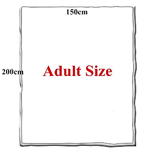 ChriHome Flannel Blanket 3D Raccoon Blanket Soft Cozy Plush Bed Sofa Throw Blanket Air Travelling Blanket,Air Conditioning Blanket for Kids and Adult (3D Raccoon, 80'' x 60'')